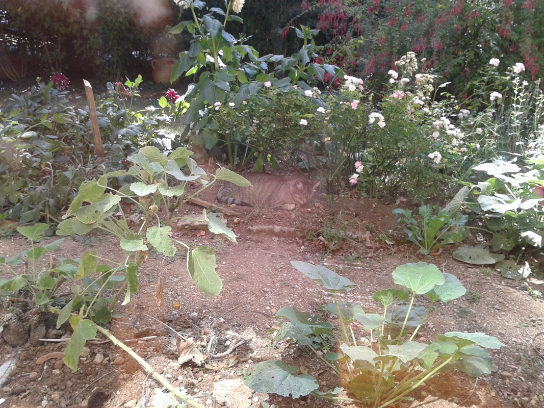 Photo 0118 — Postimages