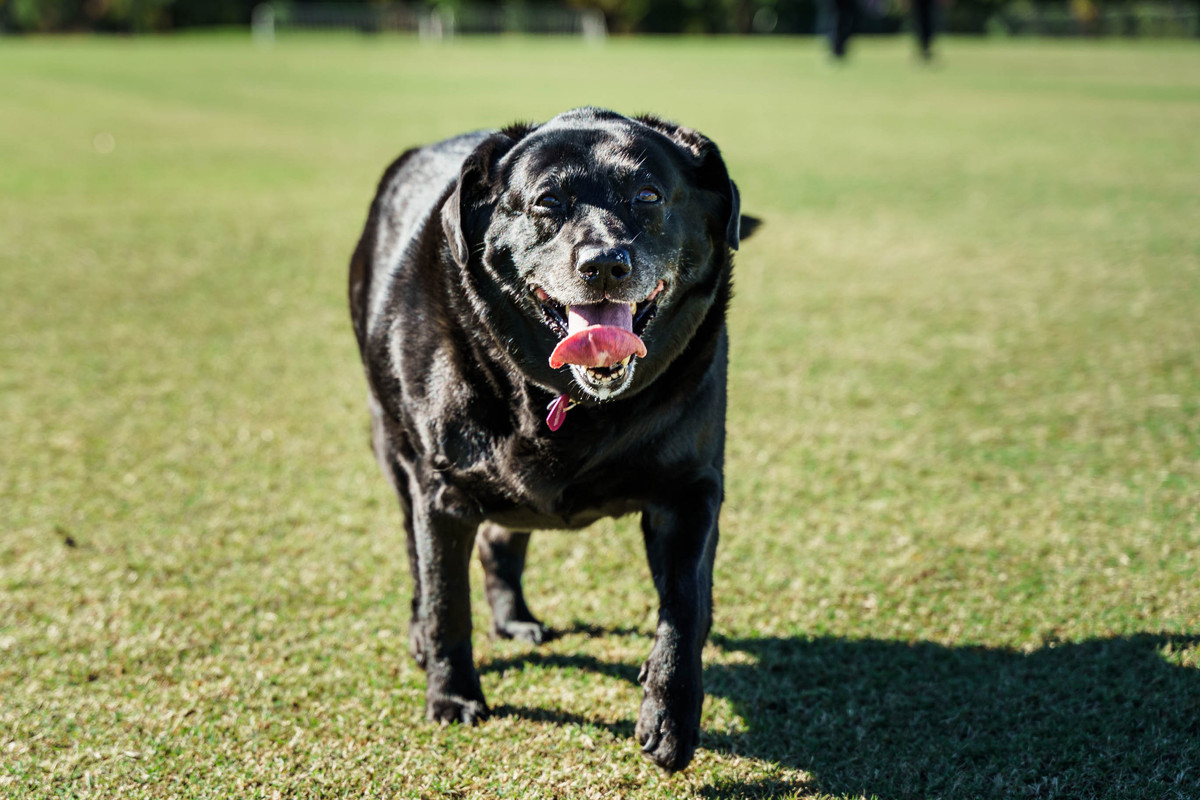 20201017 DSC4258 — Postimages