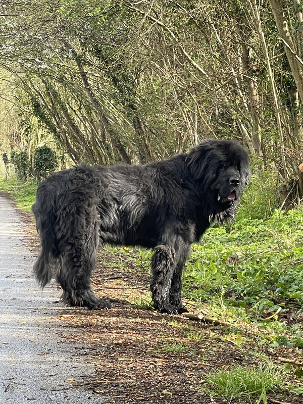 IMG 6010 — Postimages