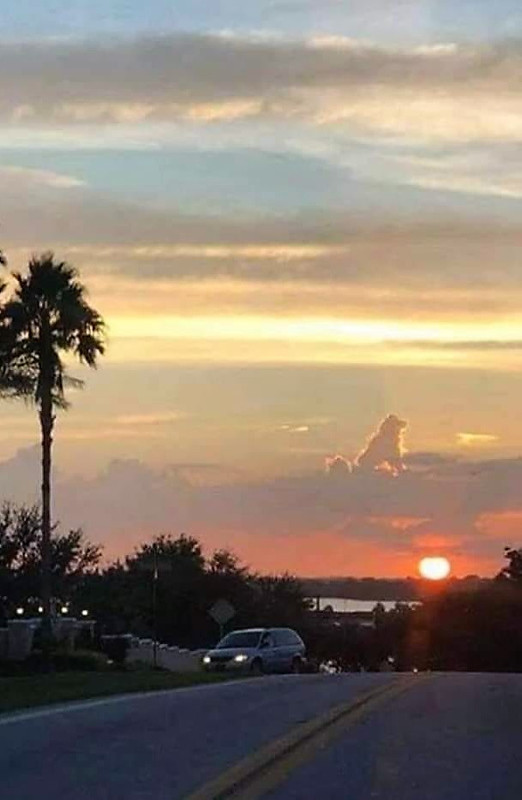 Kobi Cloud — Postimages