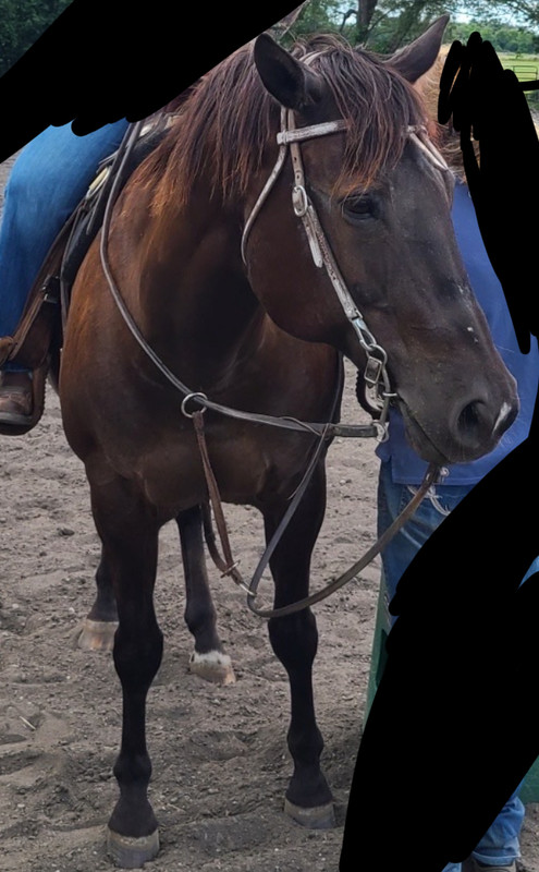 IMG 3018 — Postimages