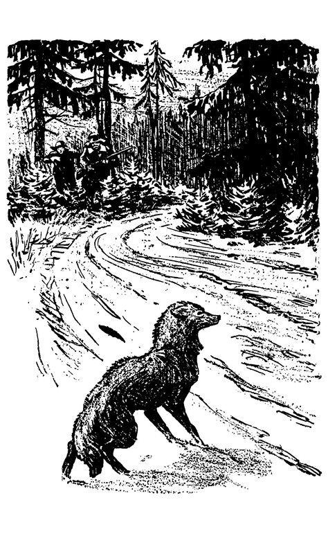 p0021 — Postimages