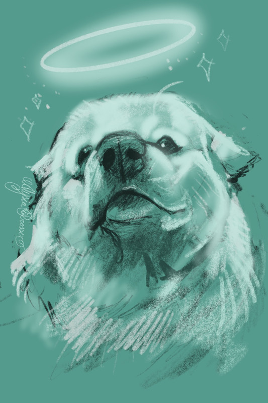 537 E4 B66 475 E 44 F6 A3 F5 C0 A854 C2 F930 — Postimages