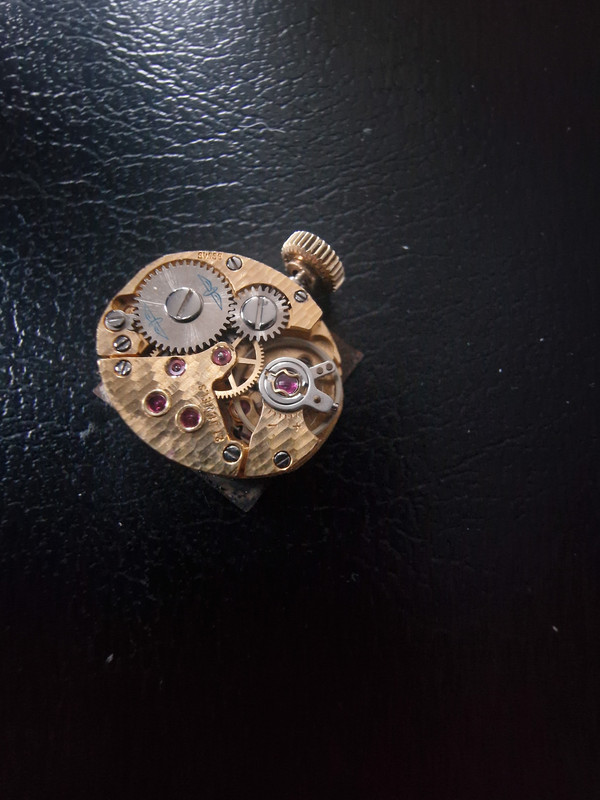 Help Identifying The Model Of An Old Rotary | UK Watch Forum