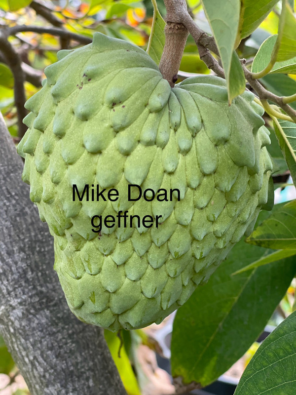 IMG 0237 — Postimages