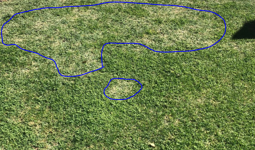 What's wrong with this | Lawn Care Forum