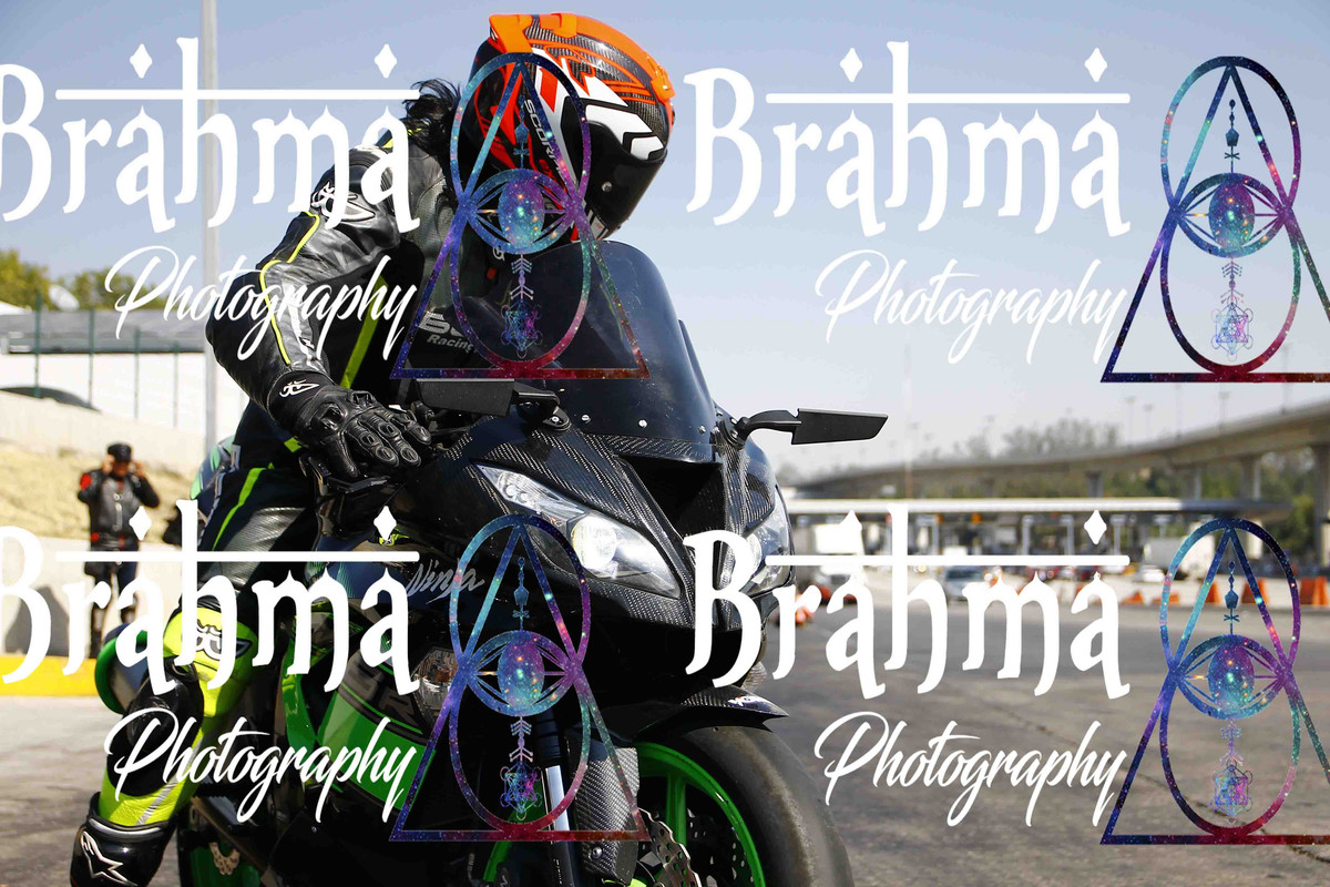 MG 0316 — Postimages