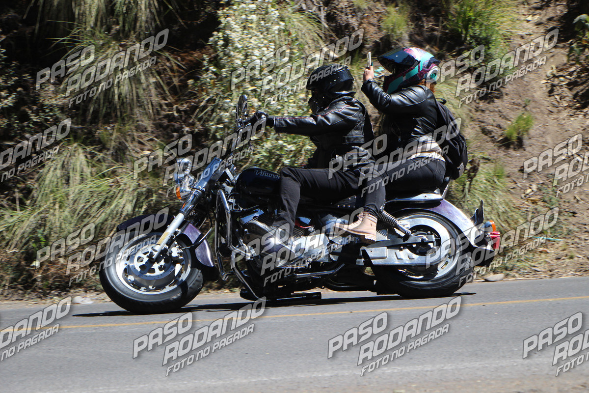 IMG 2350 wm 26094 100000000093 watermarked — Postimages