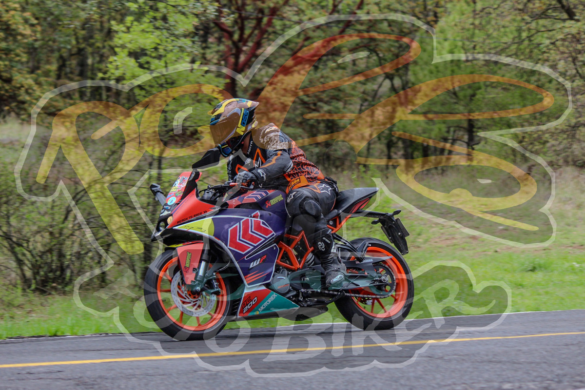 IMG 2653 — Postimages