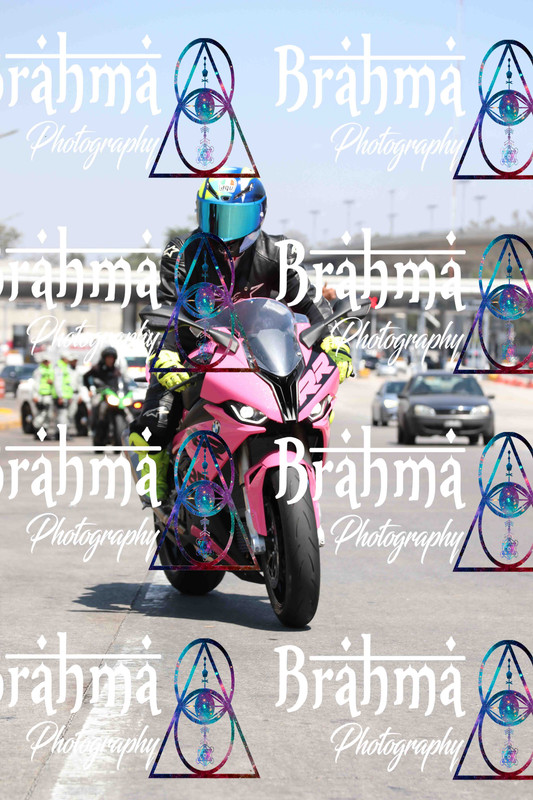 IMG 3337 — Postimages