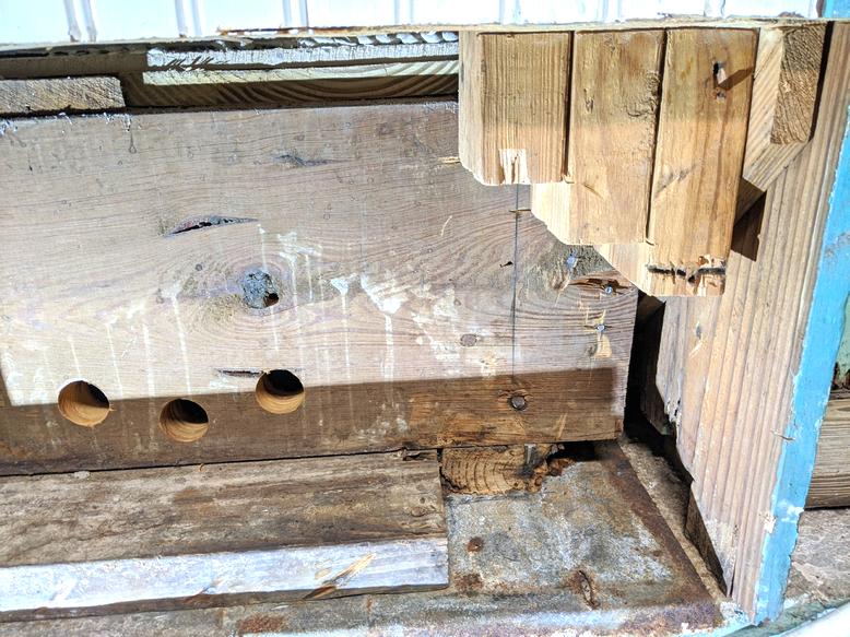 Repairing rotted bottom plate and heels of triple studs | DIY Home ...