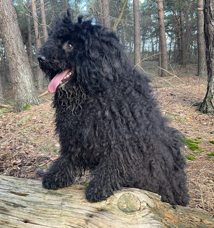 IMG 3583 — Postimages