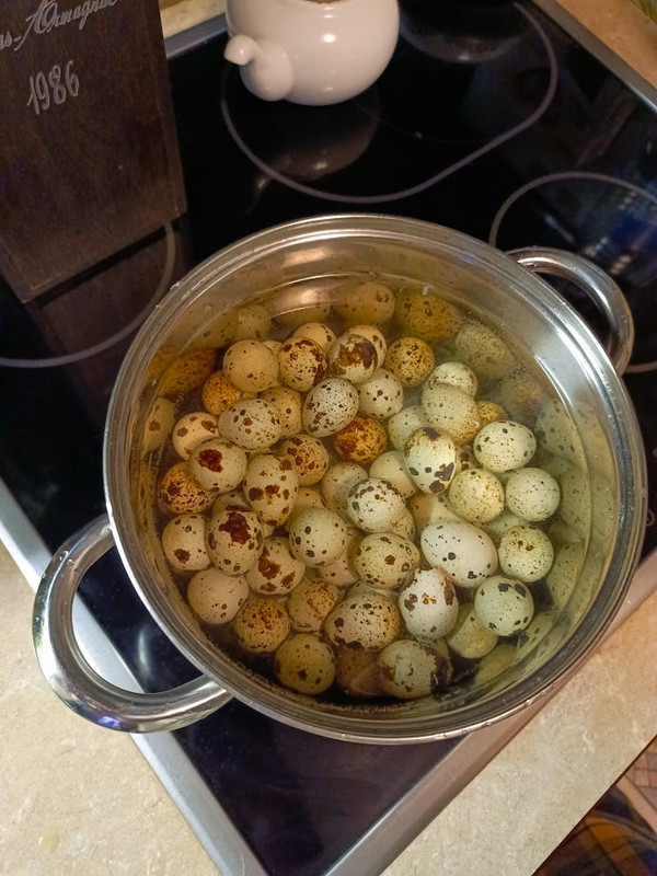 IMG 20231005 190808 383 — Postimages