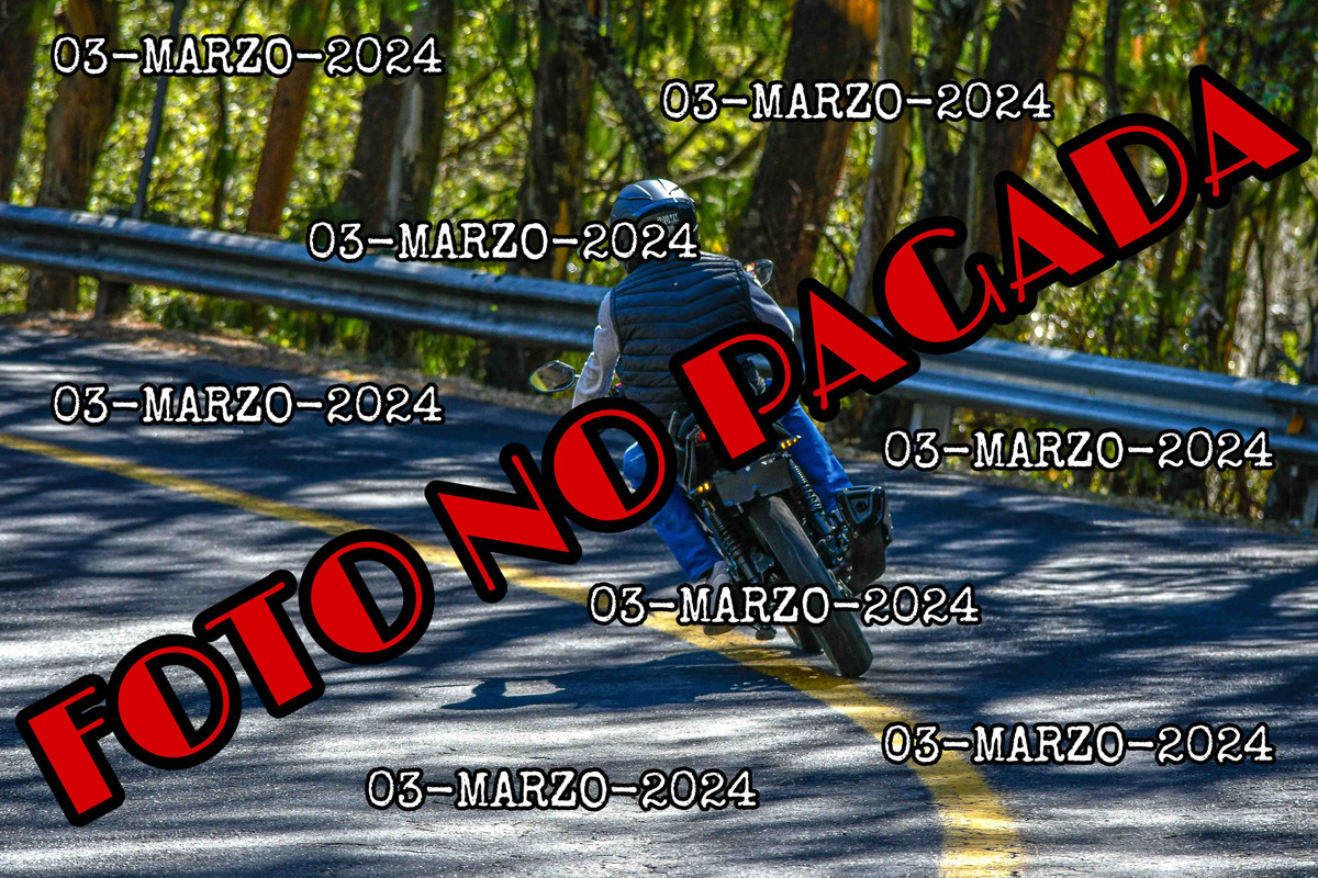 CC 141 — Postimages