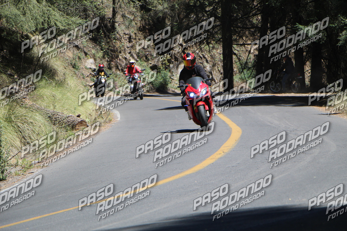 Album — Postimages