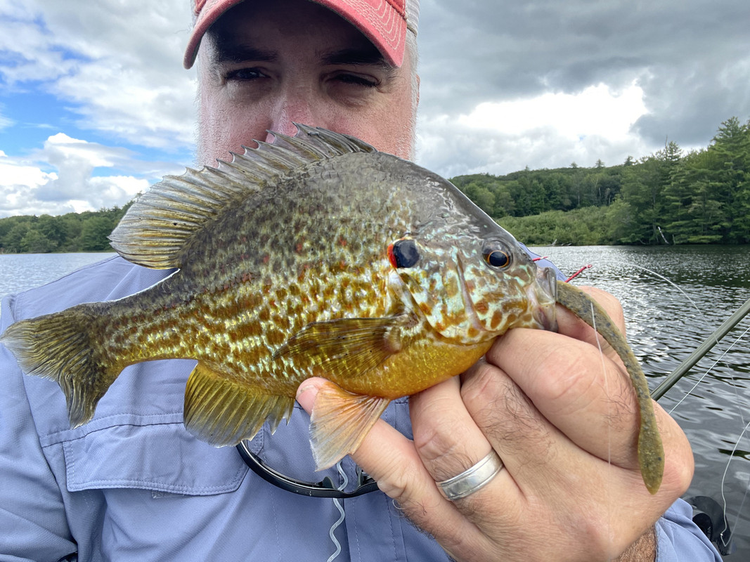 IMG 0149 — Postimages