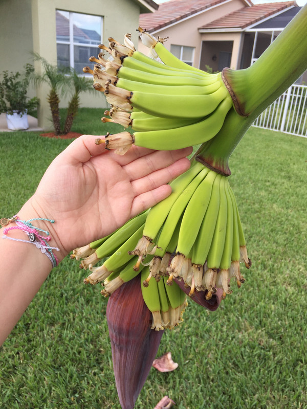 18911 B02 2 D63 415 B 9 D7 A 68 A37 F3670 E1 — Postimages