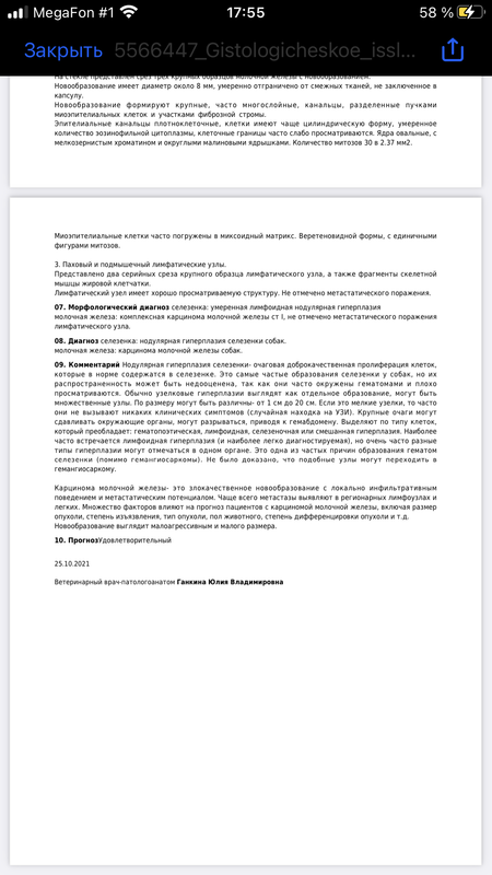 20 BF2671 918 F 4451 8 CAC 004 E693 E2 A78 — Postimages