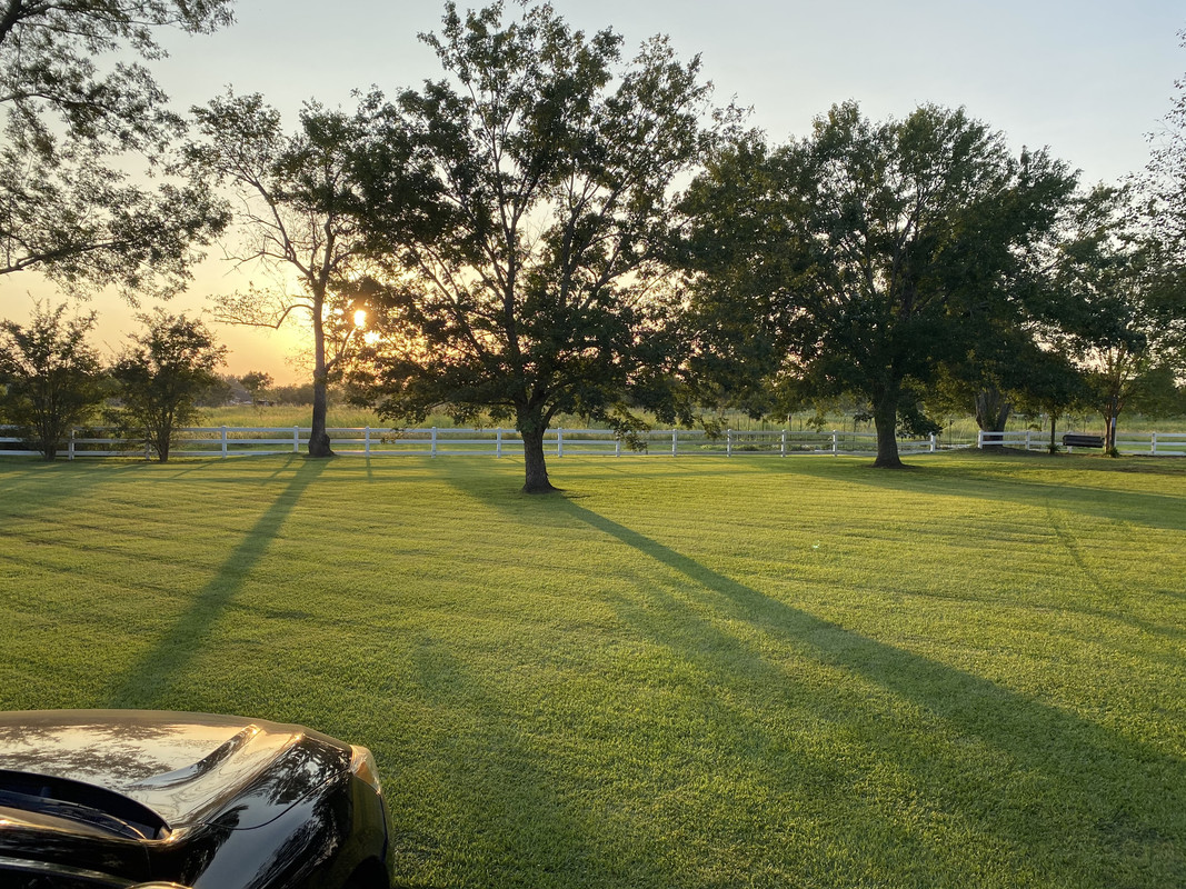 backyard — Postimages