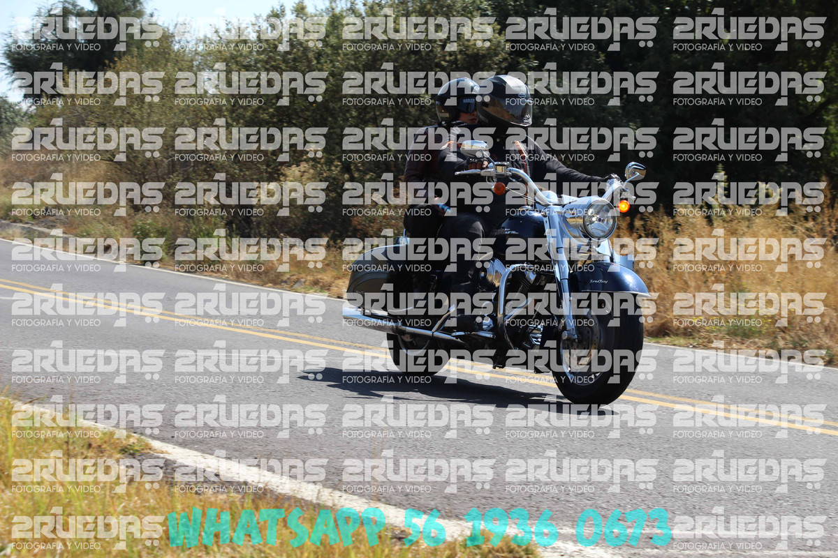 IMG 0083 — Postimages