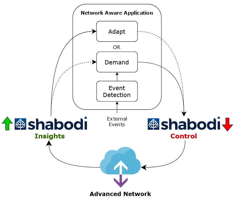 Network Aware Application