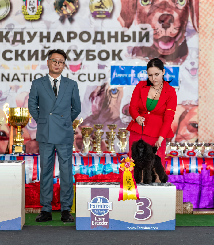 01 195 — Postimages