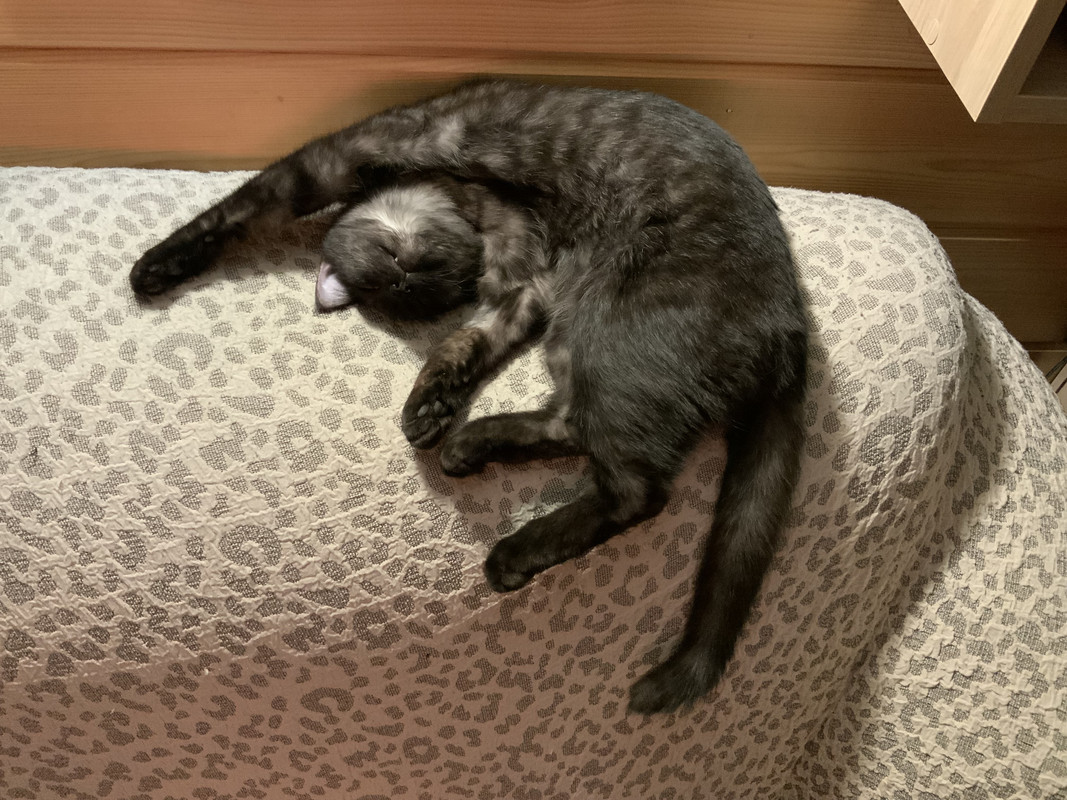 IMG 0641 — Postimages