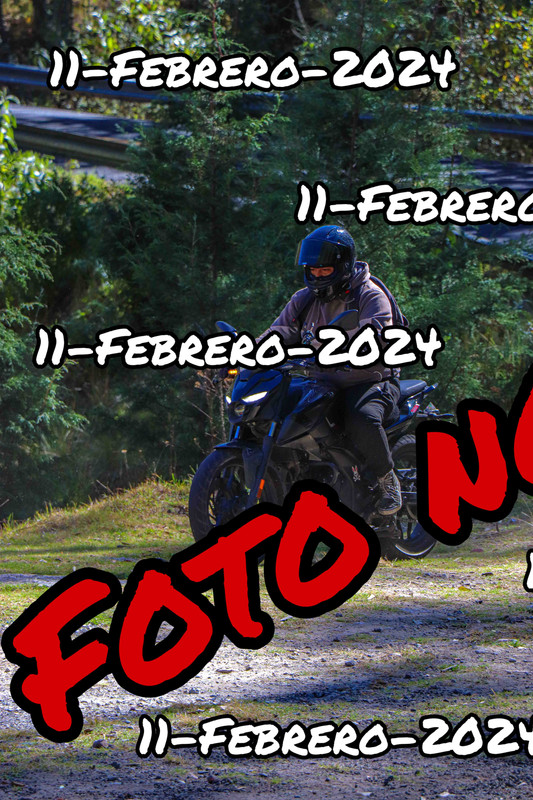 CC 100 — Postimages