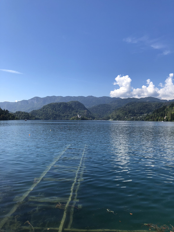 EF41 E4 C0 B03 A 45 B0 9095 568 CD487 B999 — Postimages