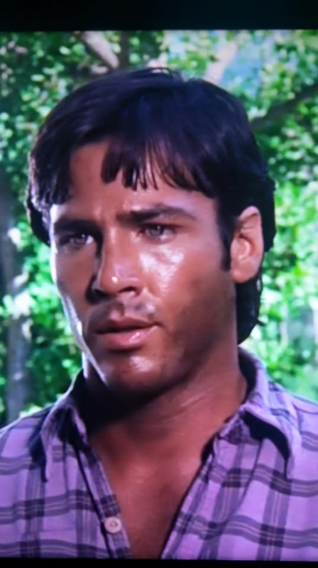 hatch e — Postimages