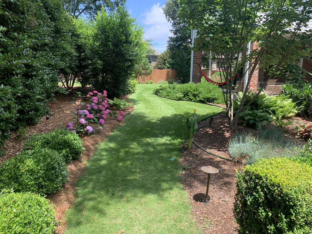 Broadstreet's Zeon Zoysia Journal | Lawn Care Forum