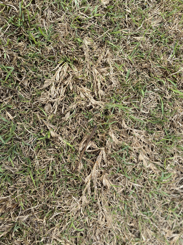 IMG 0654 — Postimages