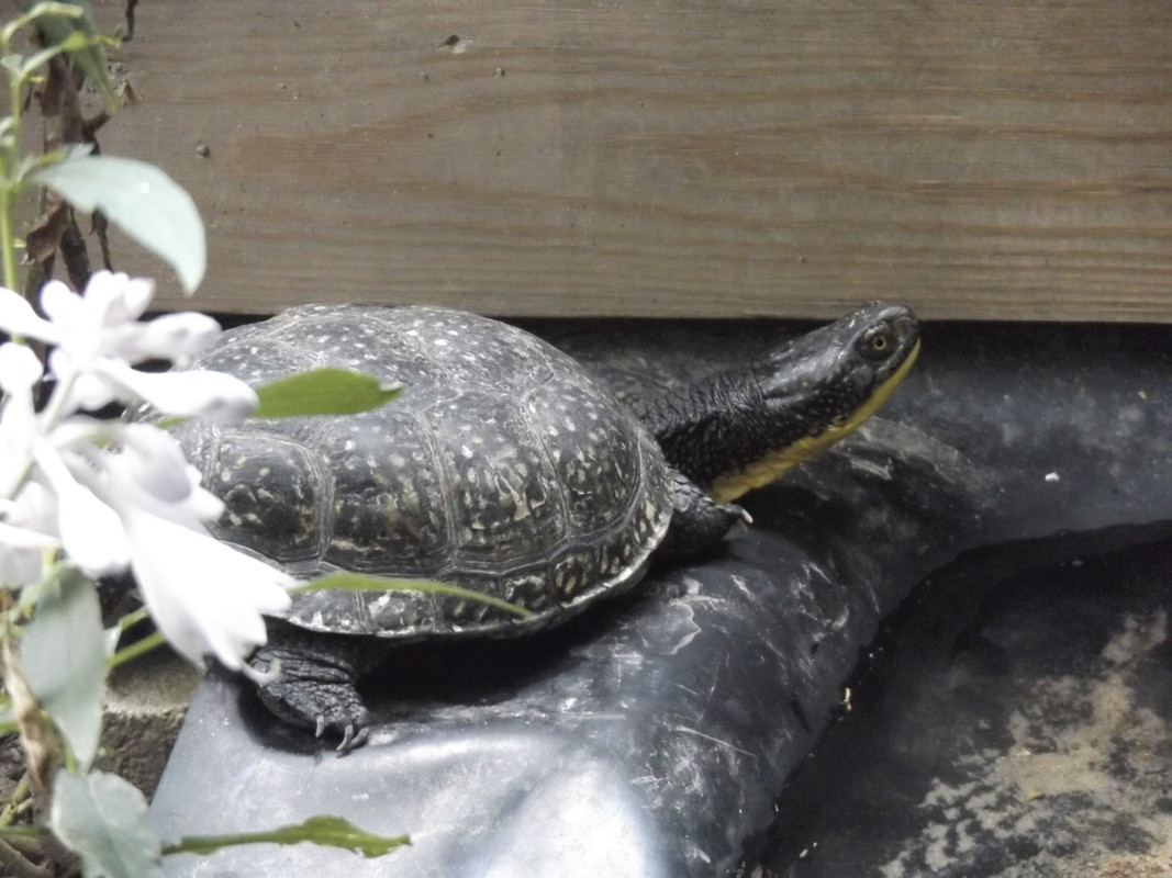 DSCF9604 (2) — Postimages