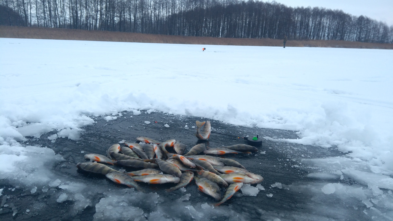 IMG 20211120 141111 — Postimages