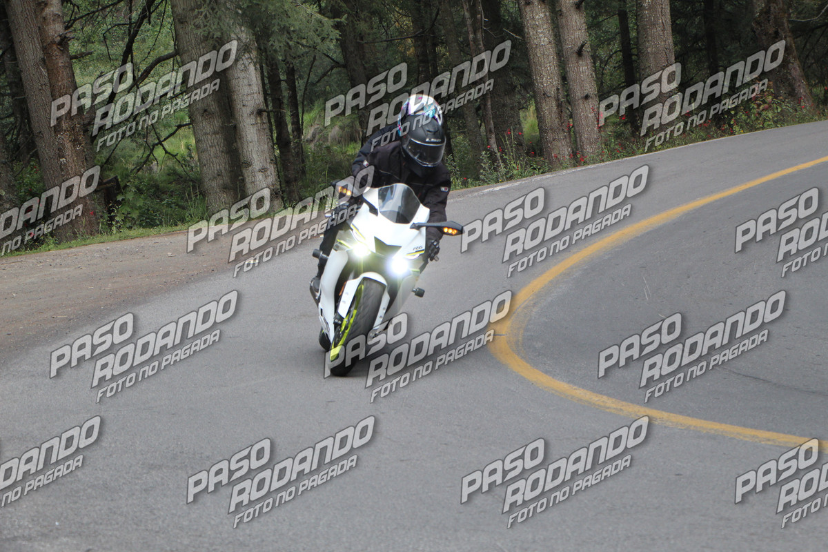 IMG 1119 wm 91239 59999999963 watermarked — Postimages