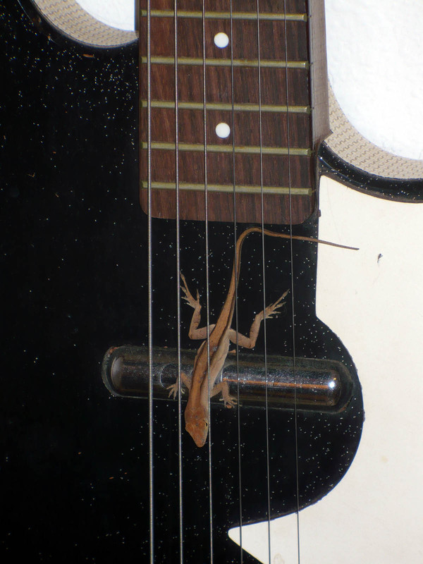 Show us your most badest guitar (inspired by ‘prettiest’ guitar thread ...