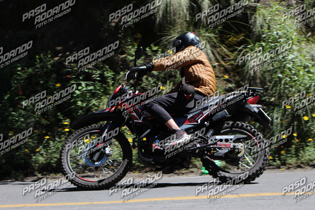 IMG 4307 wm 2001753 4000000004 watermarked — Postimages