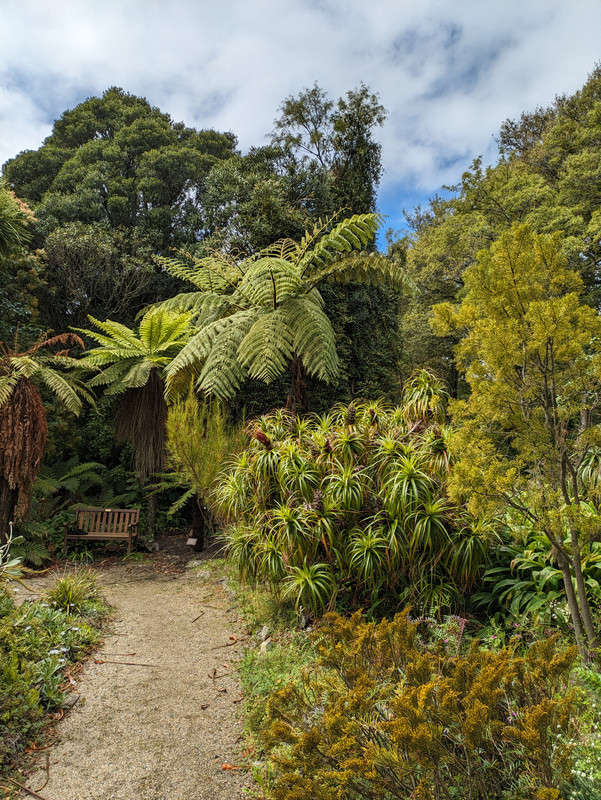 tr dr 4 — Postimages