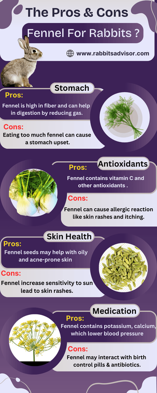 Can Rabbits Eat Fennel? Leaves, Seeds, Flowers, Greens, & Tops