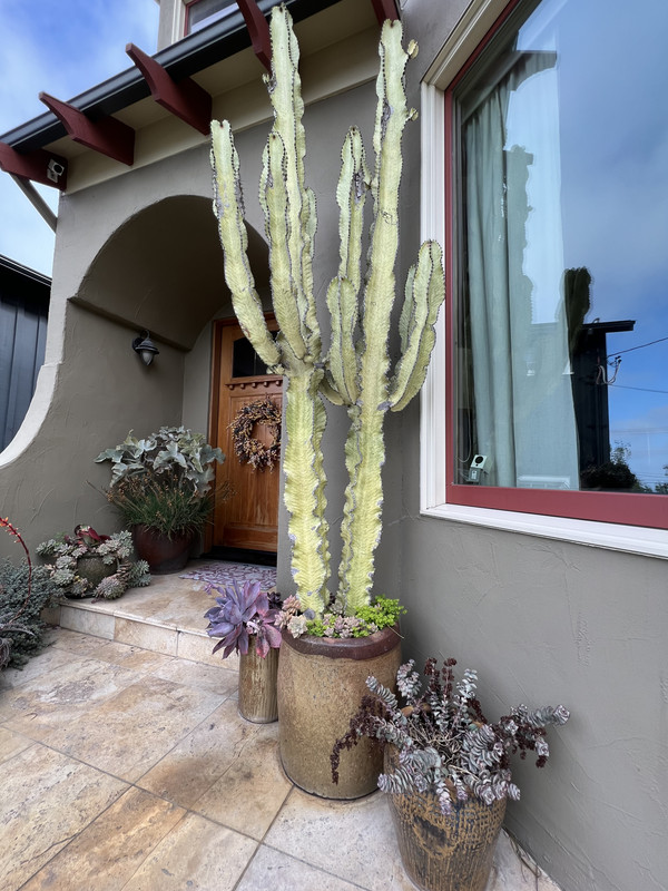 IMG 3247 — Postimages