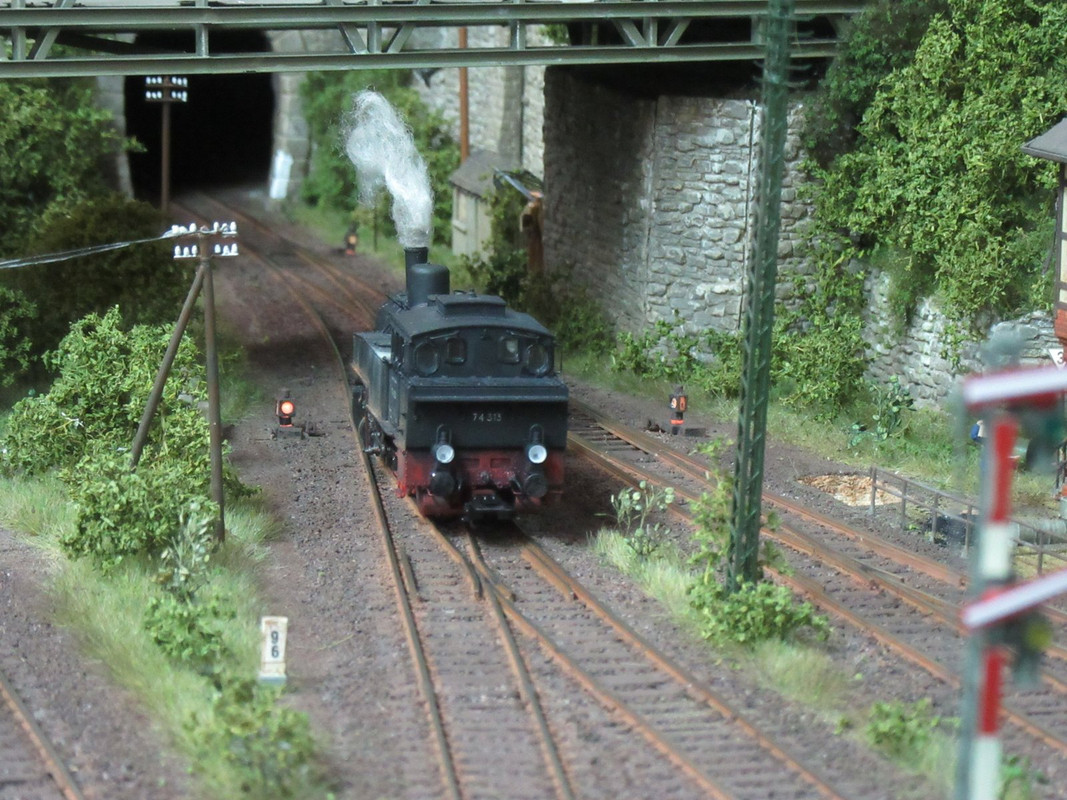 IMG 1315 — Postimages