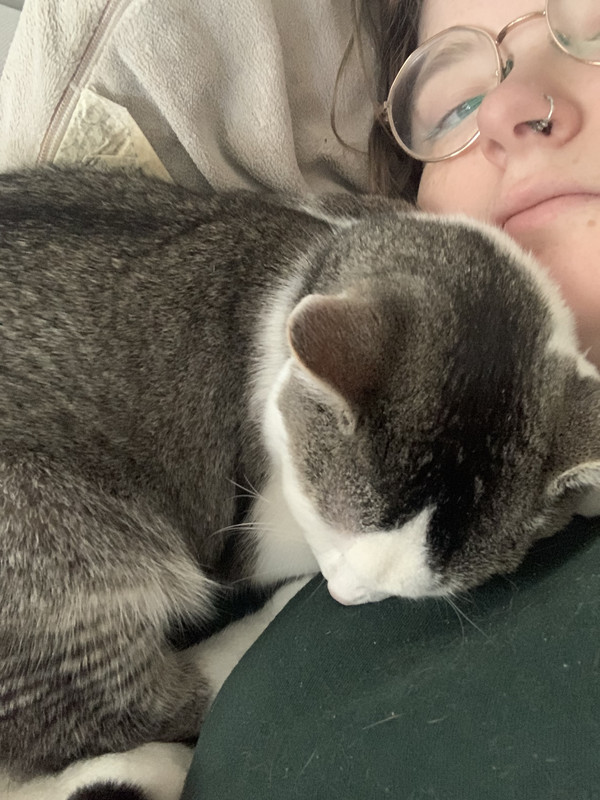 11 B6073 E 4 DDD 4033 9448 632 DB53 BDBC0 — Postimages