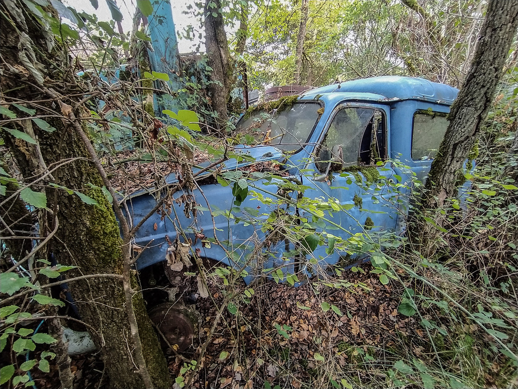 IMG 20200823 112238 modif — Postimages