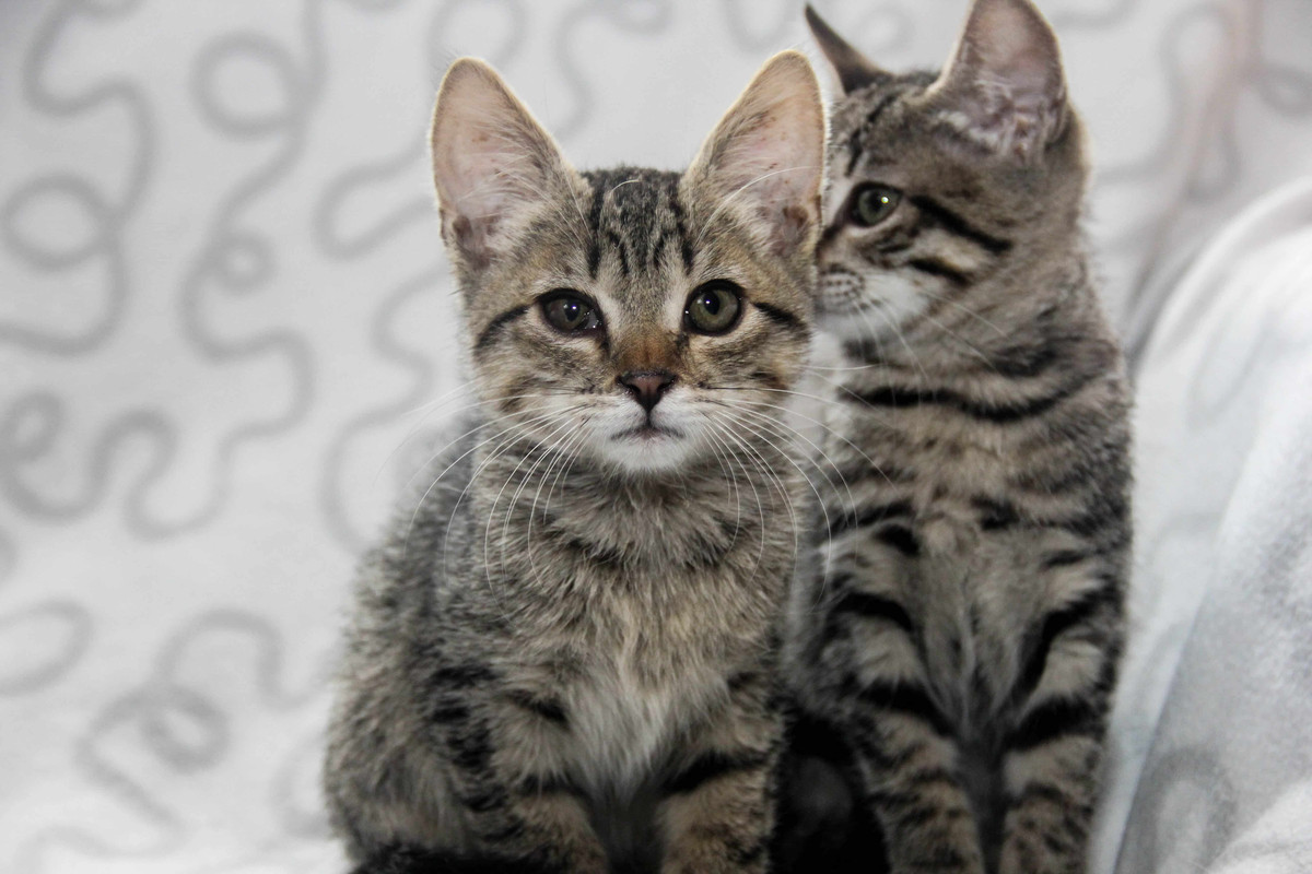 IMG 4933 — Postimages