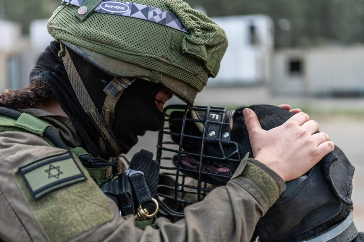 Photos - Pictures of Dogs in the Military & Police (K9) | Page 20 ...