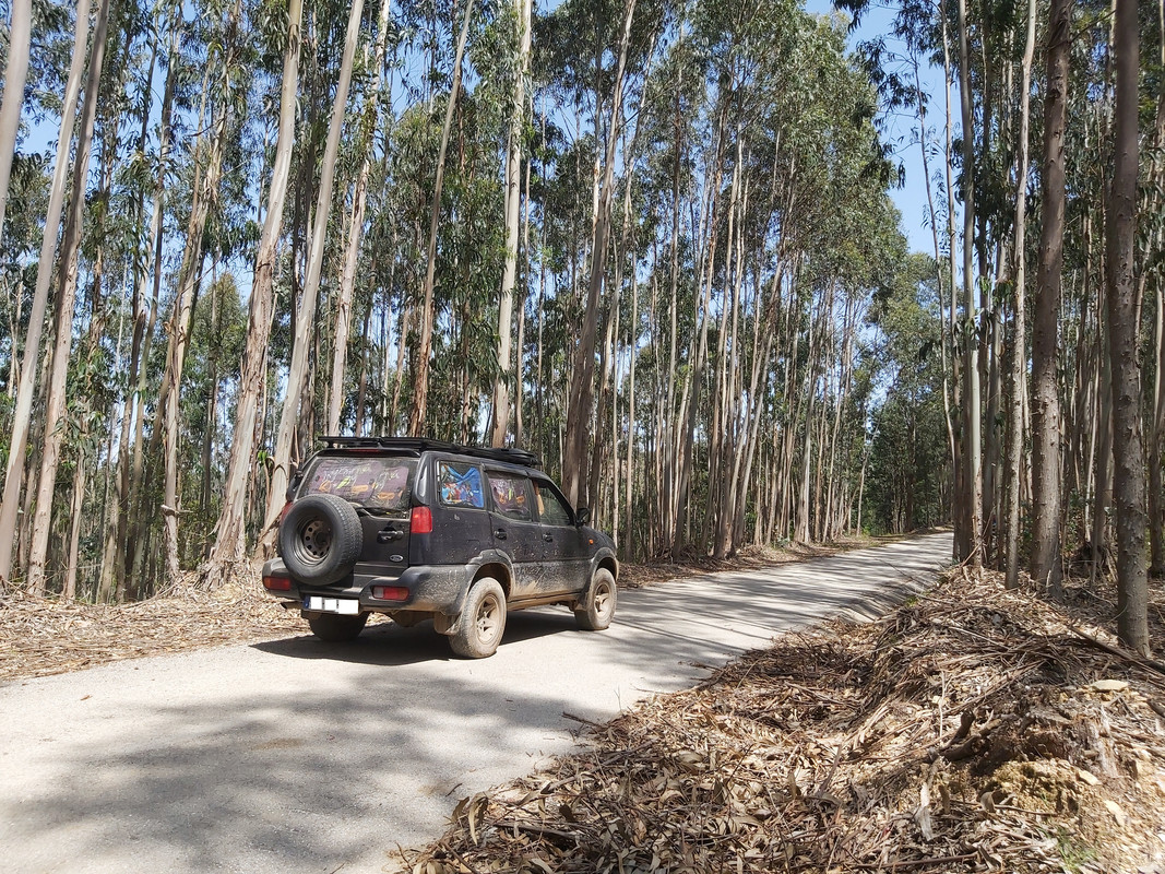 20220430 150152 — Postimages