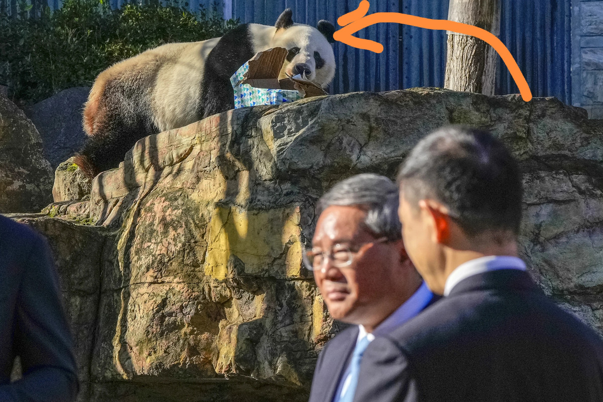 download545454545454545454545454545454 edit 446202223848536 — Postimages