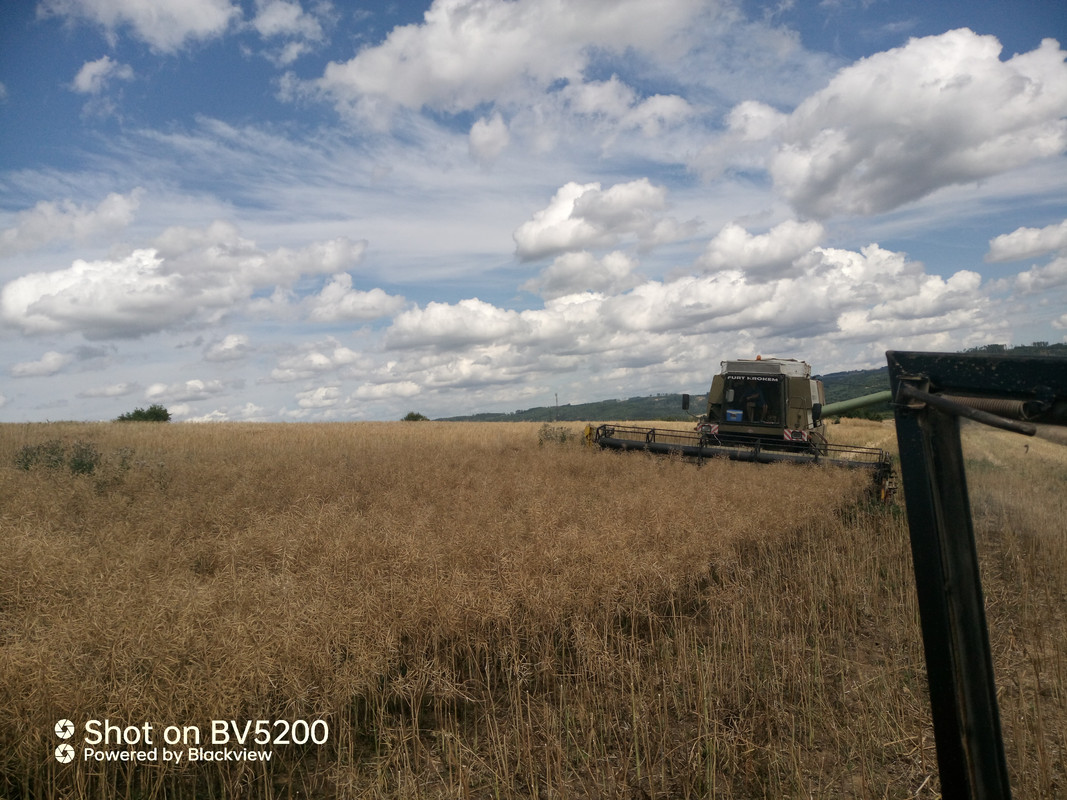 IMG 20230729 145814 104 — Postimages