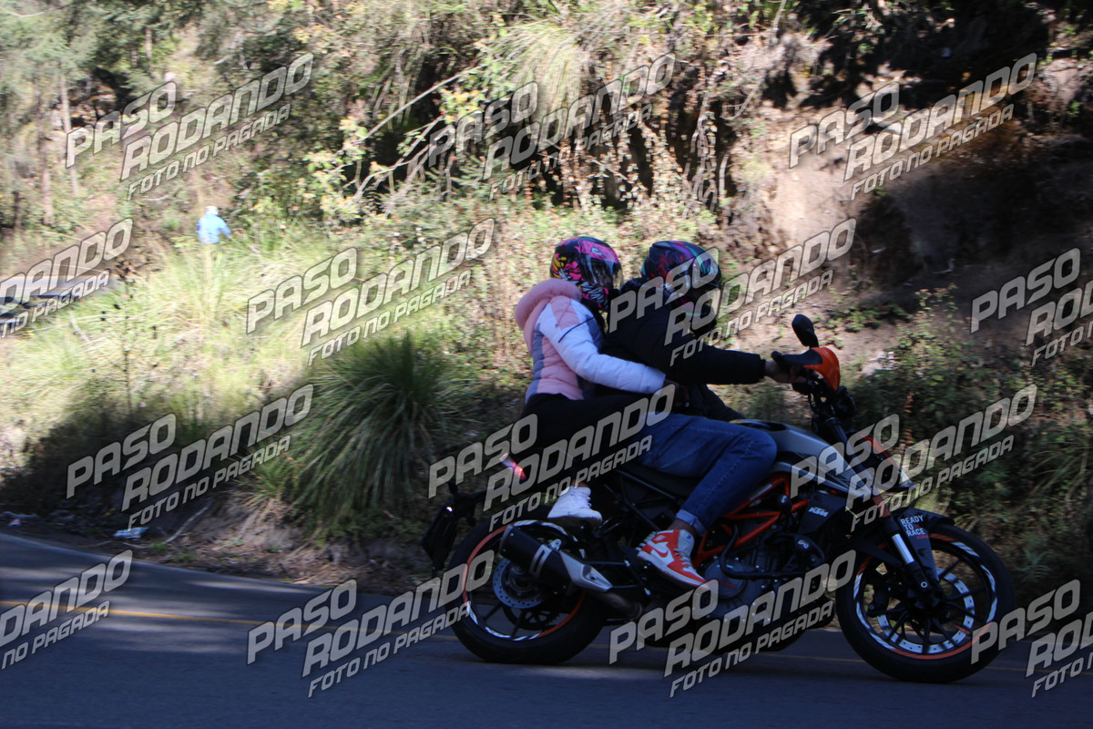 IMG 4740 wm 3988821 6 watermarked — Postimages