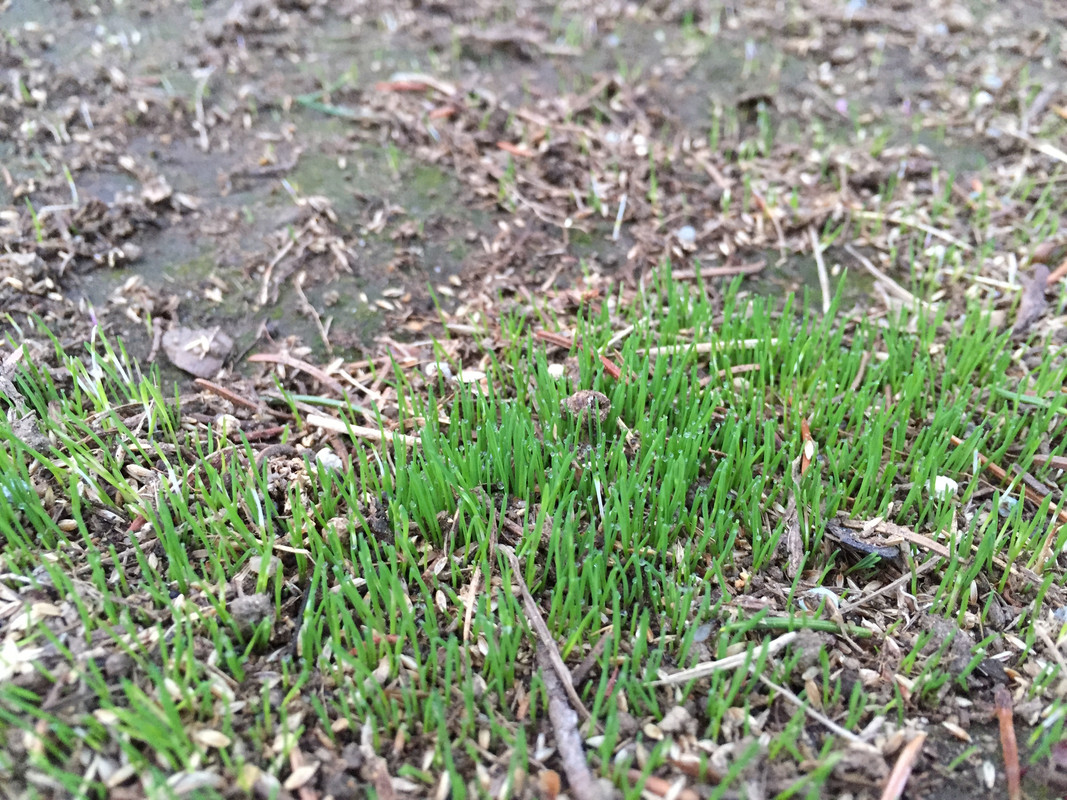 image1 — Postimages